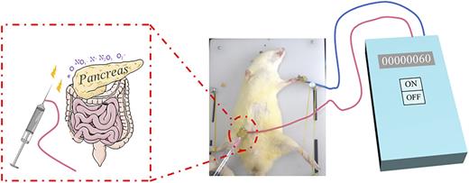 Anti-inflammatory effects of low temperature atmospheric plasma on ...