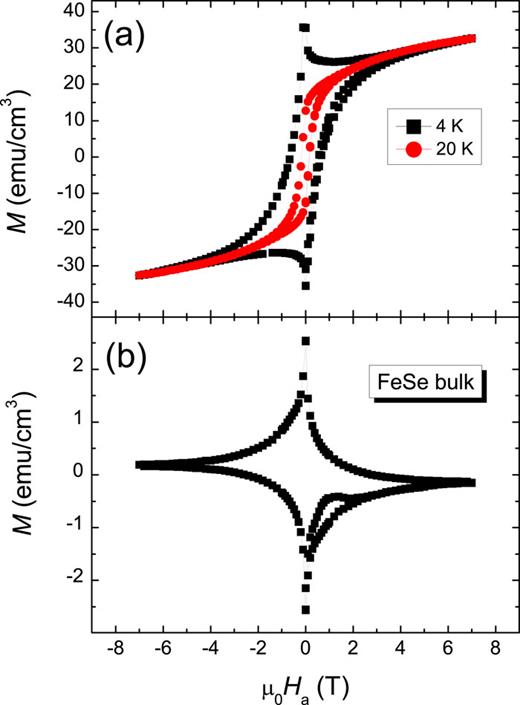 Magnetic phases in superconducting, polycrystalline bulk FeSe samples ...