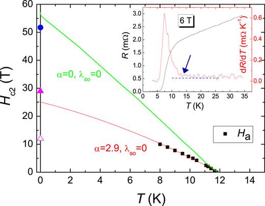Magnetic phases in superconducting, polycrystalline bulk FeSe samples ...
