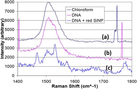 Polarization-based surface enhanced Raman scattering from single ...