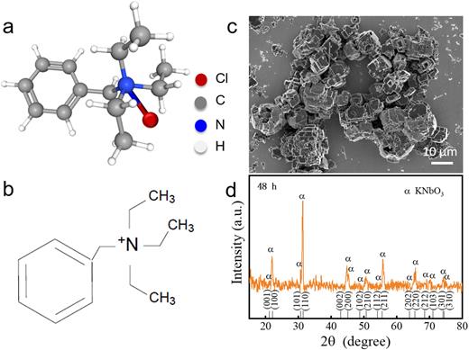 Effect of surfactants on the morphology of ferroelectric crystals grown ...