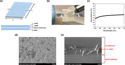 Outward- and inward-distinguishable bending sensor with silver ...