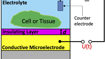Charge injection capacity of ferroelectric microelectrodes for ...