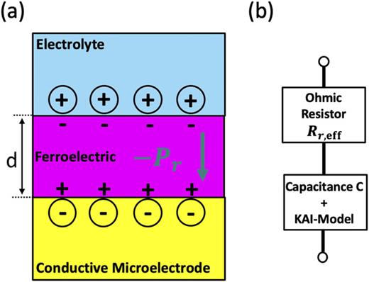 Charge injection capacity of ferroelectric microelectrodes for ...