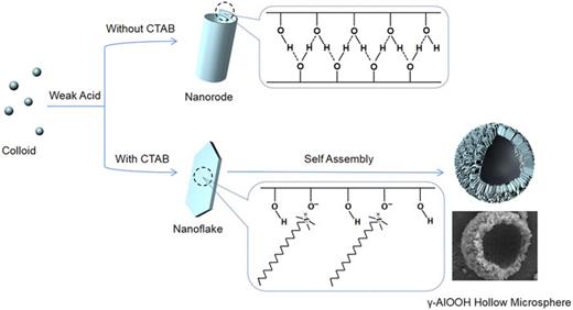 Hydrothermal synthesis of hierarchical boehmite (γ-AlOOH) hollow ...