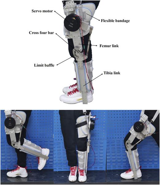 Design and optimization of exoskeleton structure of lower limb knee ...