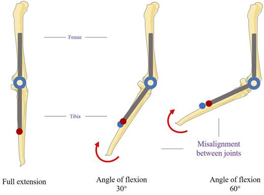 Design and optimization of exoskeleton structure of lower limb knee ...
