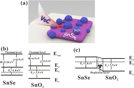 Synthesis of SnO2-nanoparticle-decorated SnSe nanosheets and their gas ...