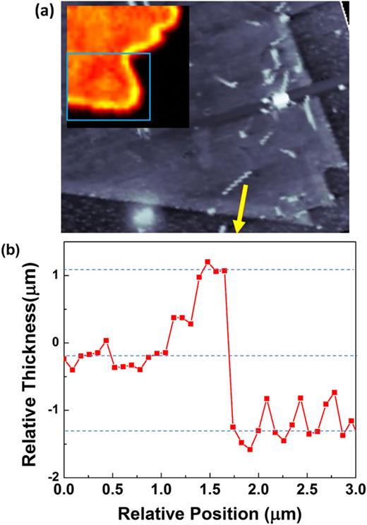 The origin of edge-enhanced second harmonic generation in monolayer ...