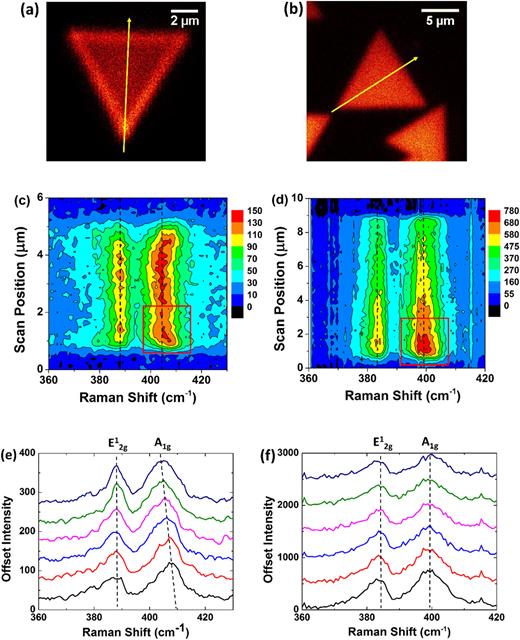 The origin of edge-enhanced second harmonic generation in monolayer ...