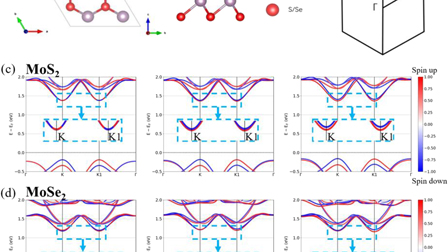 Effect of stacking type and magnetic moment in spin-valley polarized ...