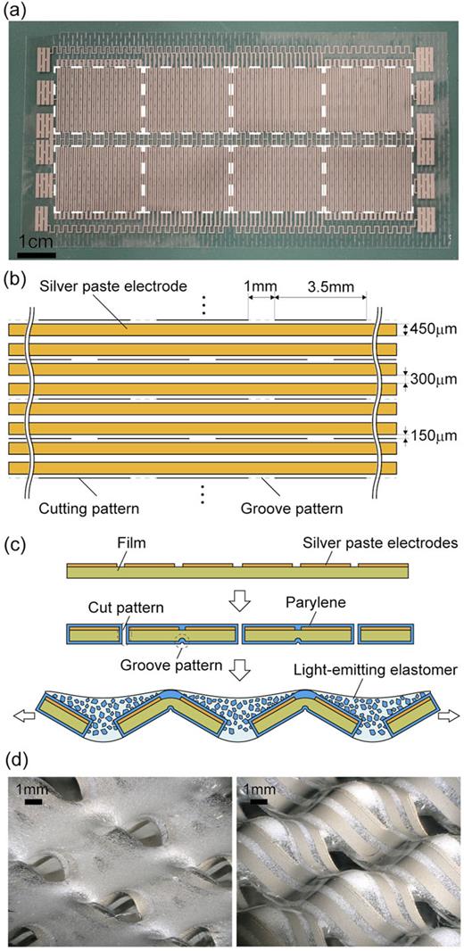 Biaxial stretchable light-emitting device using kirigami-elastomer structure | AIP Advances ...