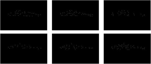 Background-independent evaluation model for infrared jamming ...