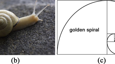 Theoretical analysis of relative diffusion impedance in finite layer ...