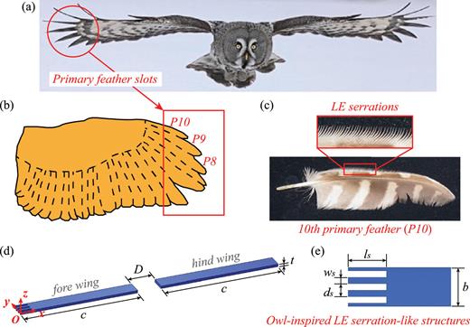 Effects of owl-inspired leading-edge serrations on tandem wing aeroacoustics | AIP Advances ...