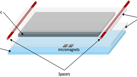 Novel thin polymeric magnetic membranes study for applications in the ...