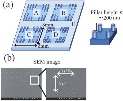 Large lateral contact stiffness on Si nanopillar surfaces | AIP ...
