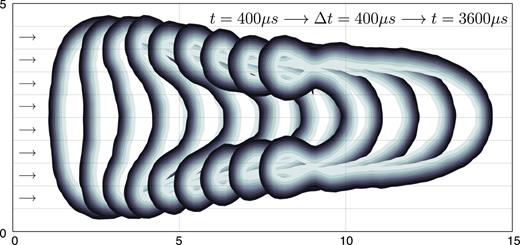 Predicting micro-bubble dynamics with semi-physics-informed deep ...
