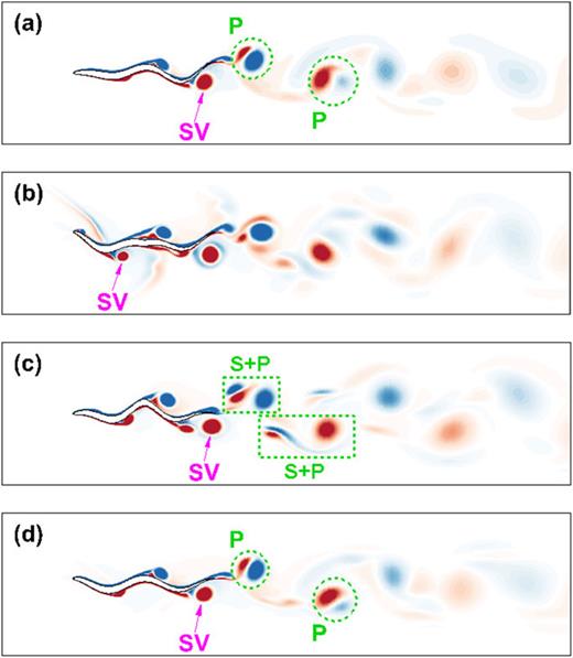 The hydrodynamic effects of undulating patterns on propulsion and ...