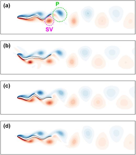 The hydrodynamic effects of undulating patterns on propulsion and ...