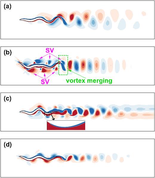 The hydrodynamic effects of undulating patterns on propulsion and ...