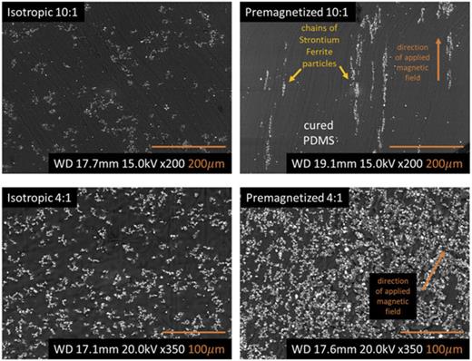 Magnetic properties of PDMS embedded with strontium ferrite particles ...