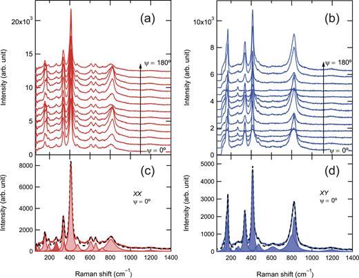 Epitaxial growth and polarized Raman scattering of niobium dioxide ...