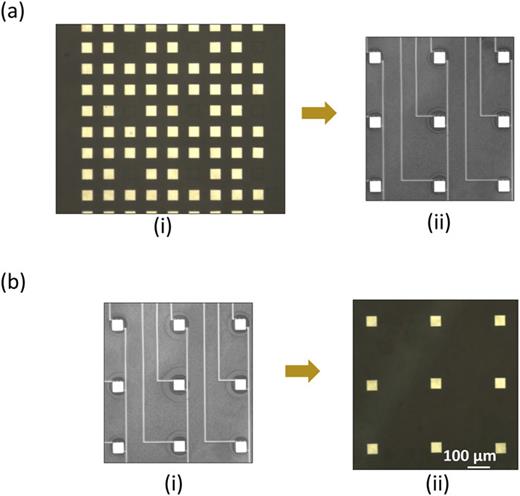 Programmable micro-transfer-printing for heterogeneous material ...