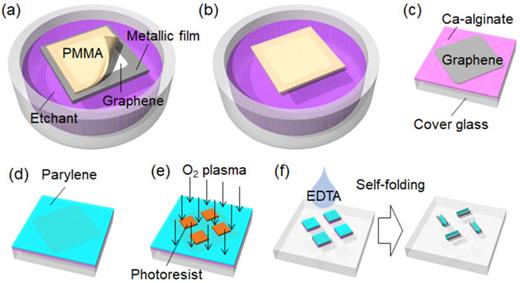 Three-dimensional self-folding assembly of multi-layer graphene at the ...