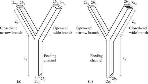 Capillary flow in Y-shaped junctions with open- and closed-end branches ...