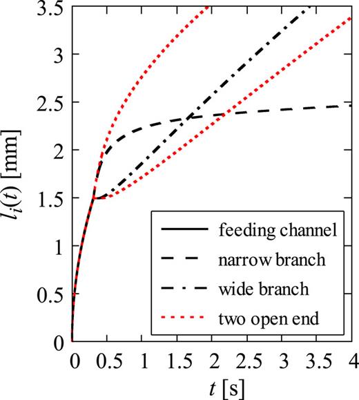 Capillary flow in Y-shaped junctions with open- and closed-end branches ...