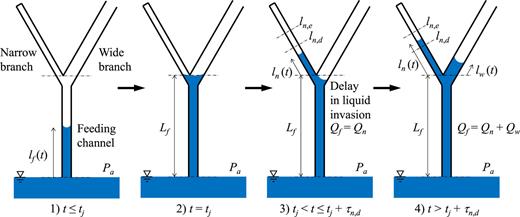 Capillary flow in Y-shaped junctions with open- and closed-end branches ...