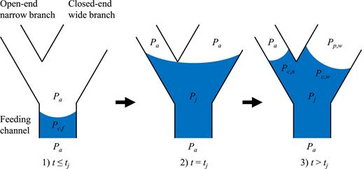 Capillary flow in Y-shaped junctions with open- and closed-end branches ...
