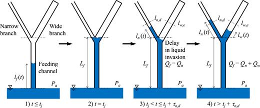 Capillary flow in Y-shaped junctions with open- and closed-end branches ...
