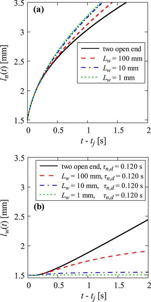 Capillary flow in Y-shaped junctions with open- and closed-end branches ...