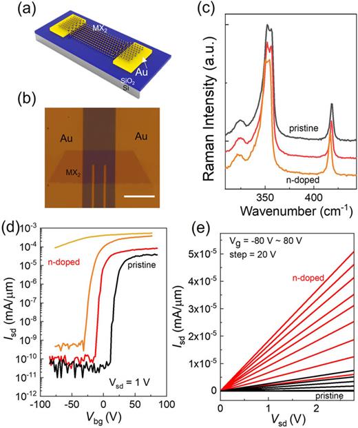 Control of the Schottky barrier height in monolayer WS2 FETs using ...