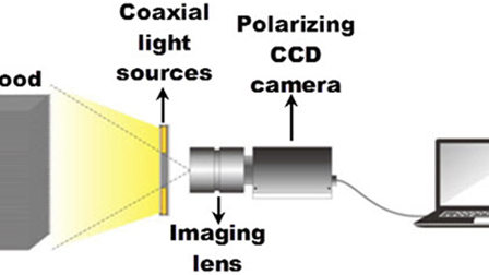 Application of polarization imaging in counting plywood layers by ...