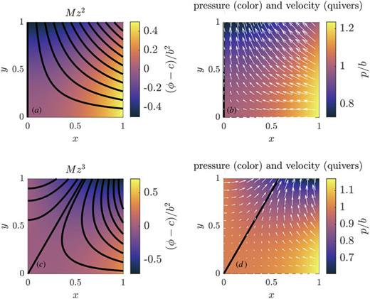 Exact solutions for flow through porous media with the Klinkenberg ...