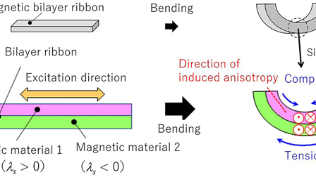 Improvement in soft magnetic properties of thin bilayer ribbons using ...
