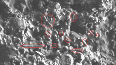 Silver molybdate nanocrystal-reinforced high-performance anti ...