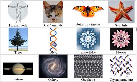 The second law of infodynamics and its implications for the simulated ...