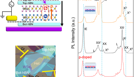 Modulating interlayer and intralayer excitons in WS2/WSe2 van der Waals ...