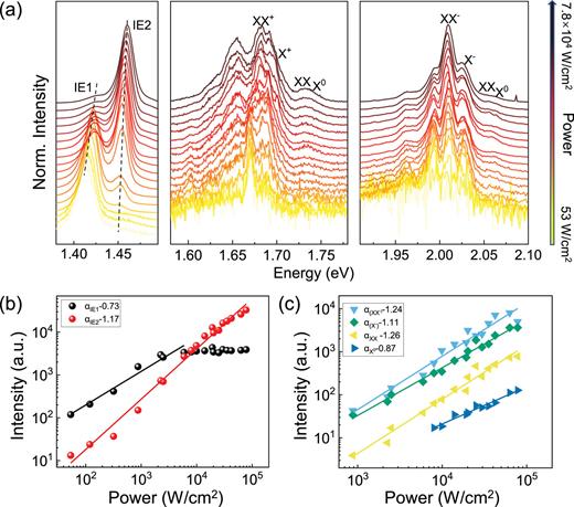 Modulating interlayer and intralayer excitons in WS2/WSe2 van der Waals ...