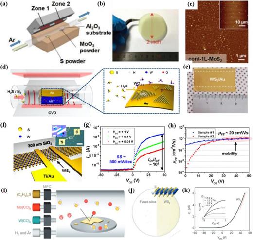 Progress in the preparation of high-quality wafer-scale monolayer and ...