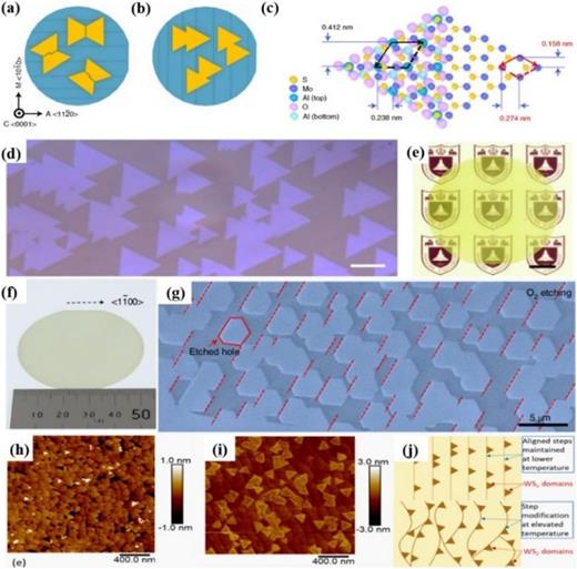 Progress in the preparation of high-quality wafer-scale monolayer and ...