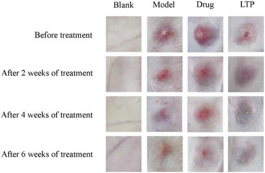 Inhibitory effects and mechanisms of low-temperature plasma on ...