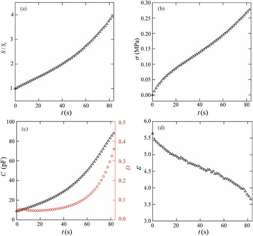 Dynamic variation of the dielectric permittivity of elastomers with ...