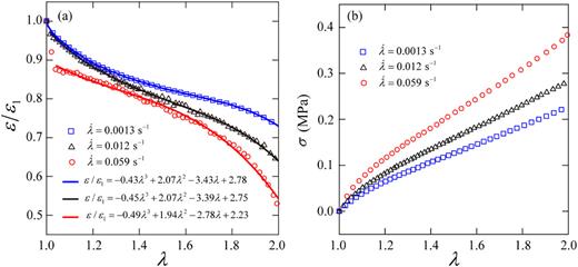 Dynamic variation of the dielectric permittivity of elastomers with ...