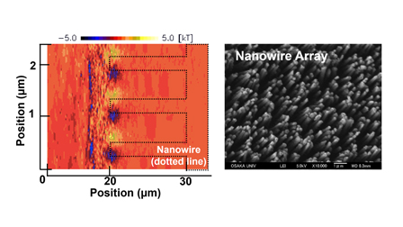 Ultrahigh-energy density state in nanowire arrays irradiated with ...