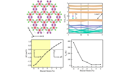 First principles study of two-dimensional high-temperature ...